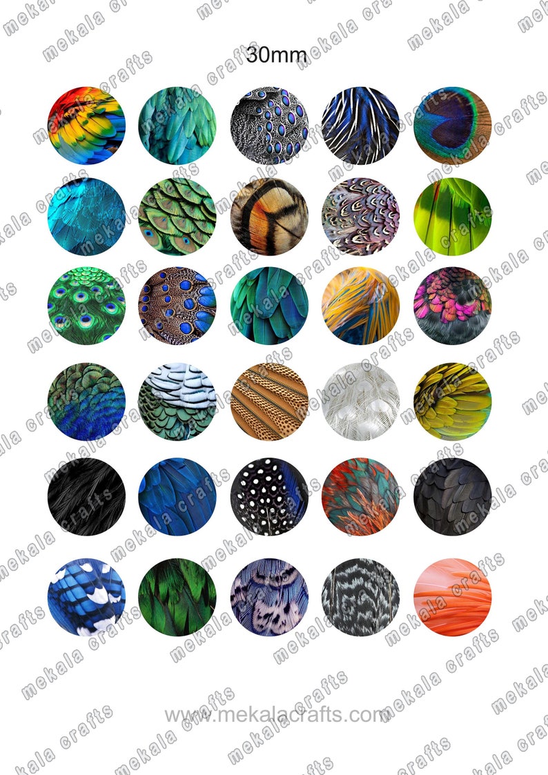 Digital Collage Sheet Birds Feather Colorful Birds Printable - Etsy