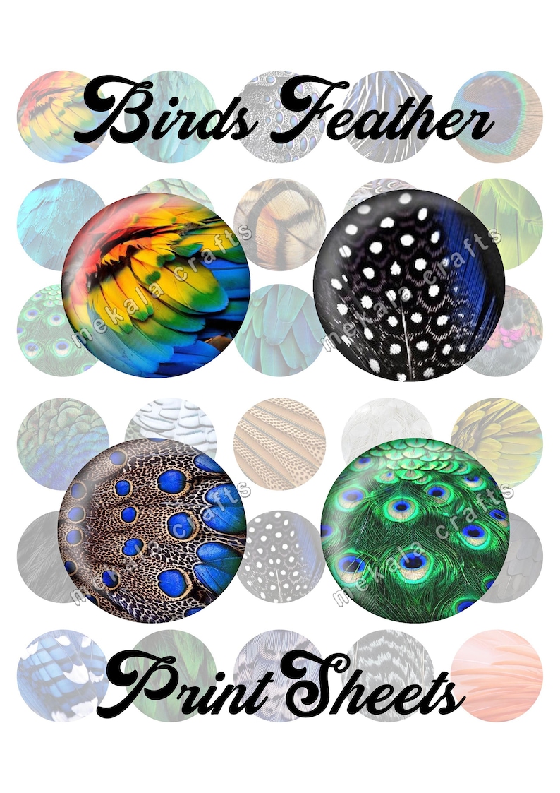 Digital Collage Sheet Birds Feather Colorful Birds Printable - Etsy