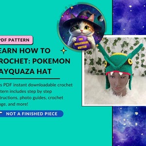 Pattern for Crochet Pokemon Rayquaza Inspired Character Hat | PDF ...