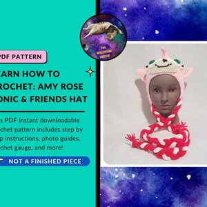 Pattern for Crochet Sonic and Friends' Amy Rose Inspired Character Hat ...