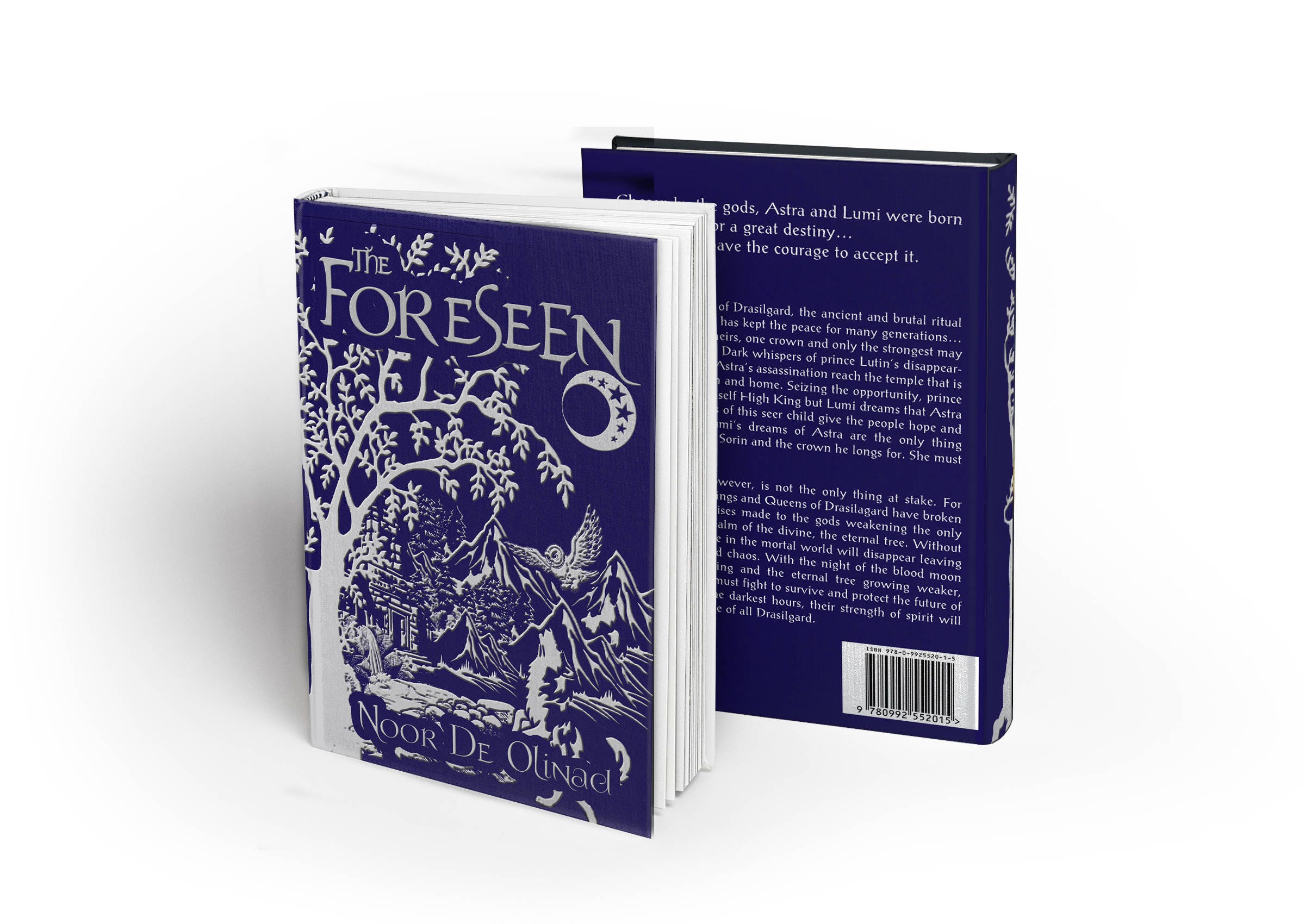 Custom Book Cover Design, Ebook Cover Art, Book Cover Artist, Book ...