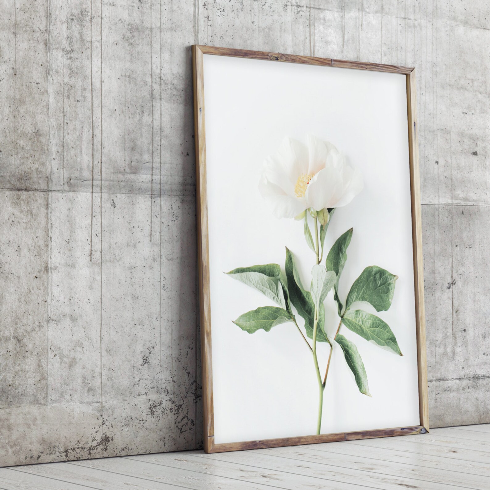 Flower Printable Flower Art Flower Prints White Flower - Etsy
