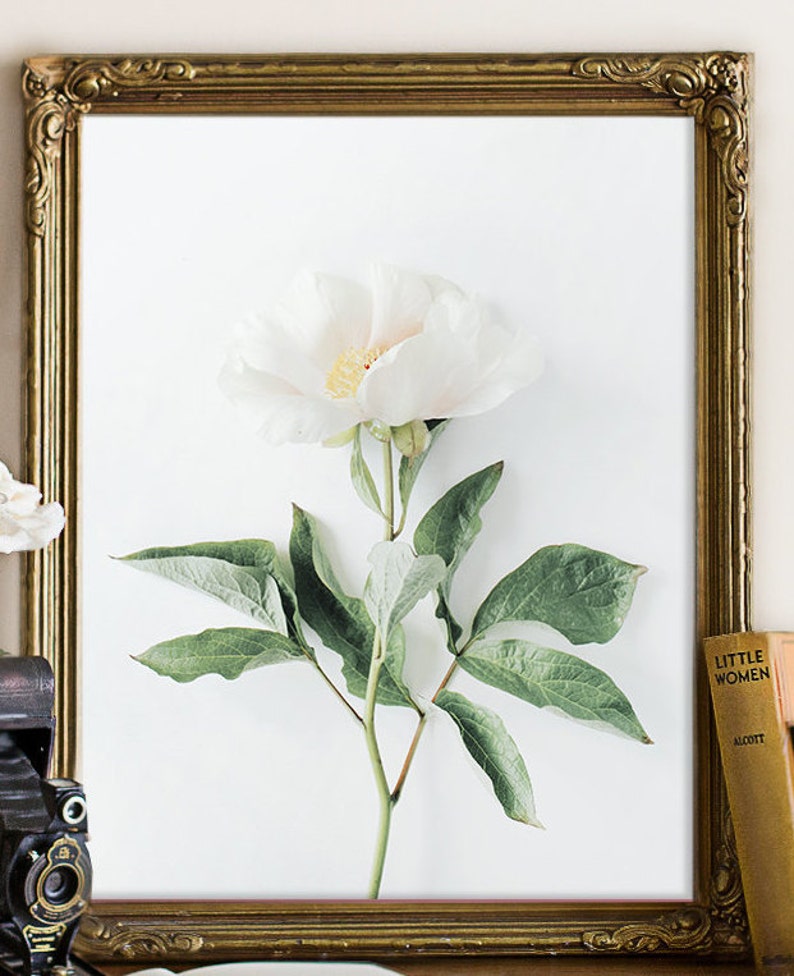 Flower Printable Flower Art Flower Prints White Flower - Etsy