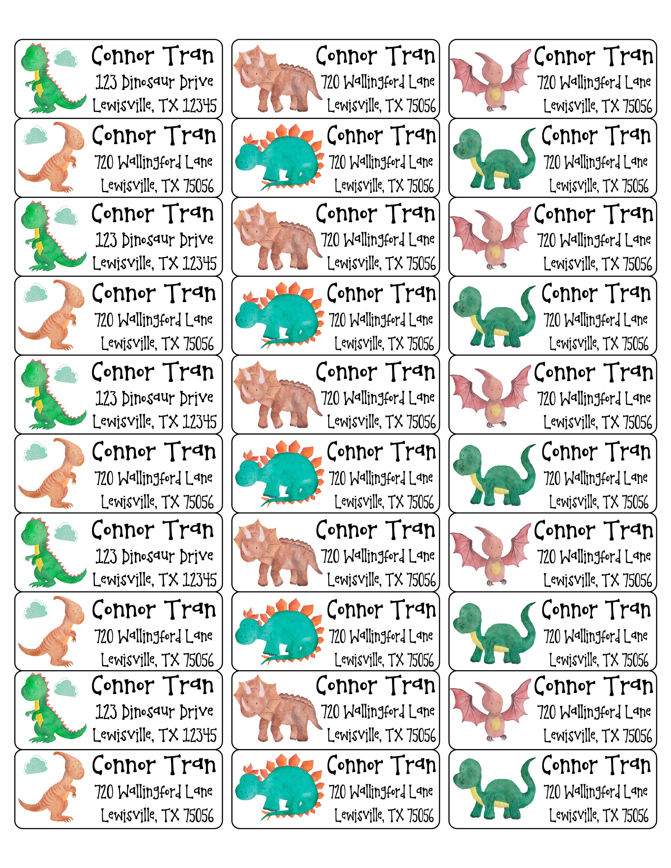Dinosaur Address Labels Mailing Labels Dinosaur Party - Etsy