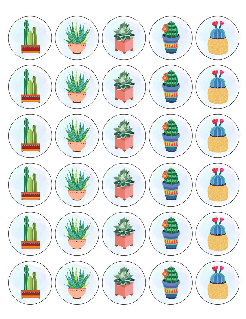 Cactus Address Labels Mailing Labels Cacti Labels - Etsy