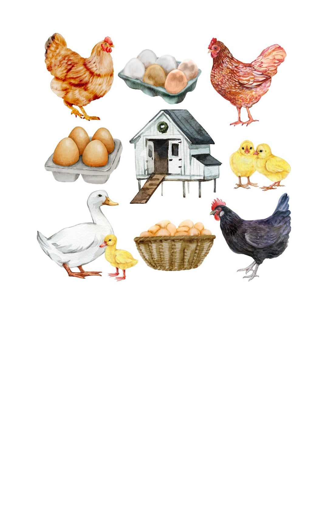 Farm Collage, Chicken Farm Collage, Chicken Farmer, PNG, Digital File ...