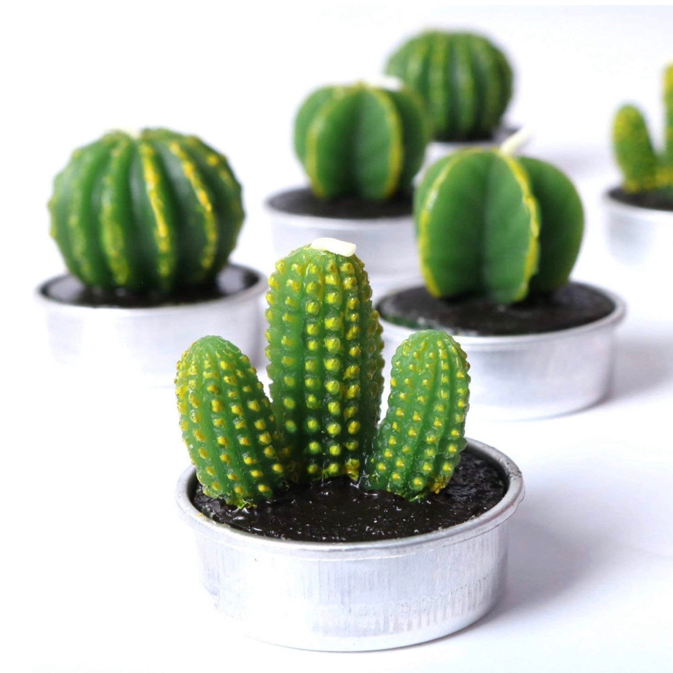 Mini Succulent Cactus Tea Light Candle Mini Succulent Candle - Etsy