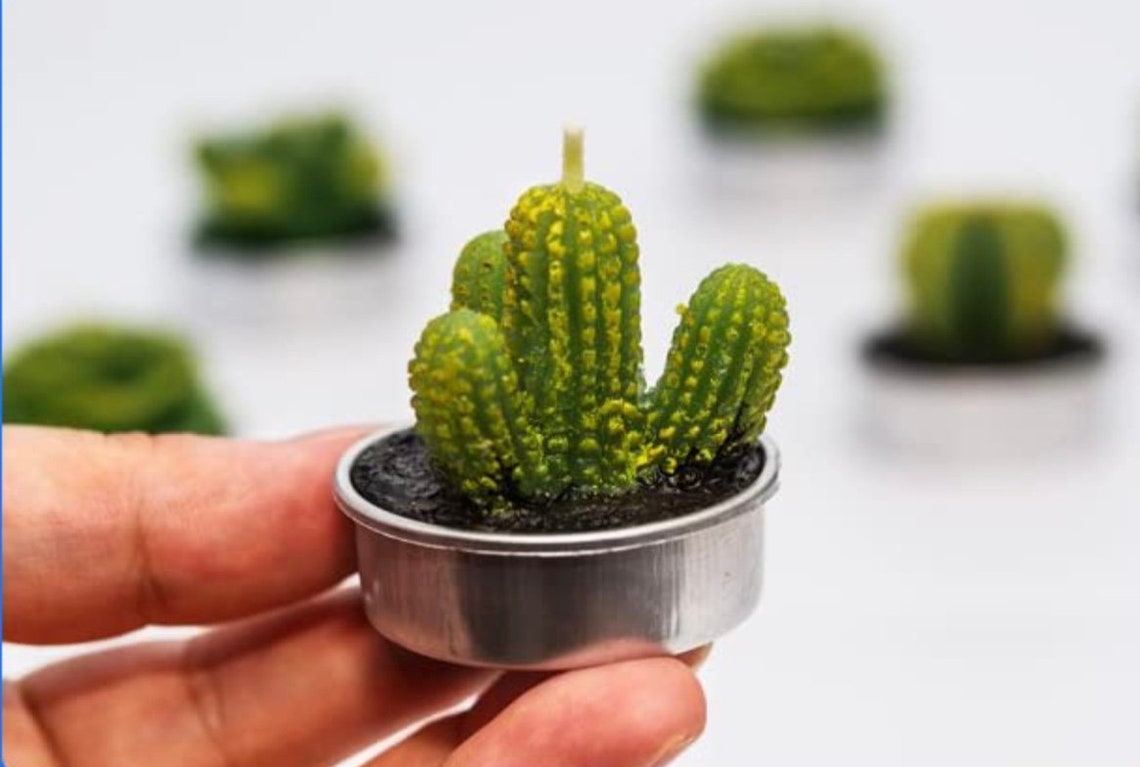 Mini Succulent Cactus Tea Light Candle Mini Succulent Candle - Etsy