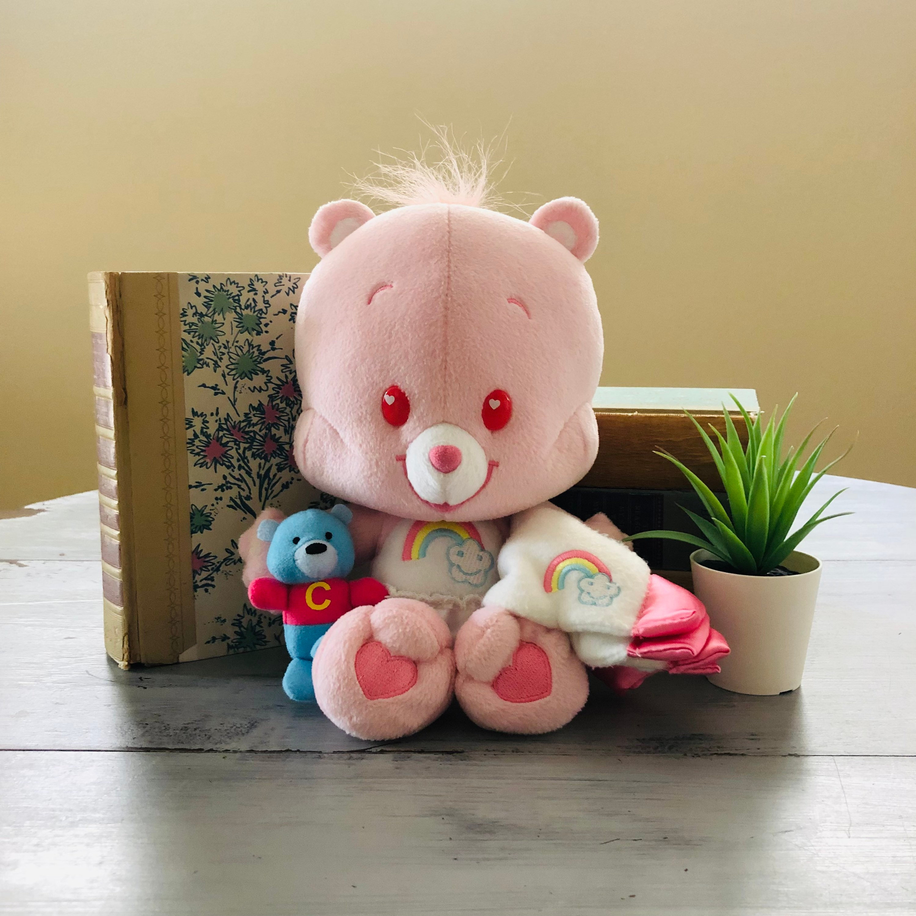 Care Bear Cubs