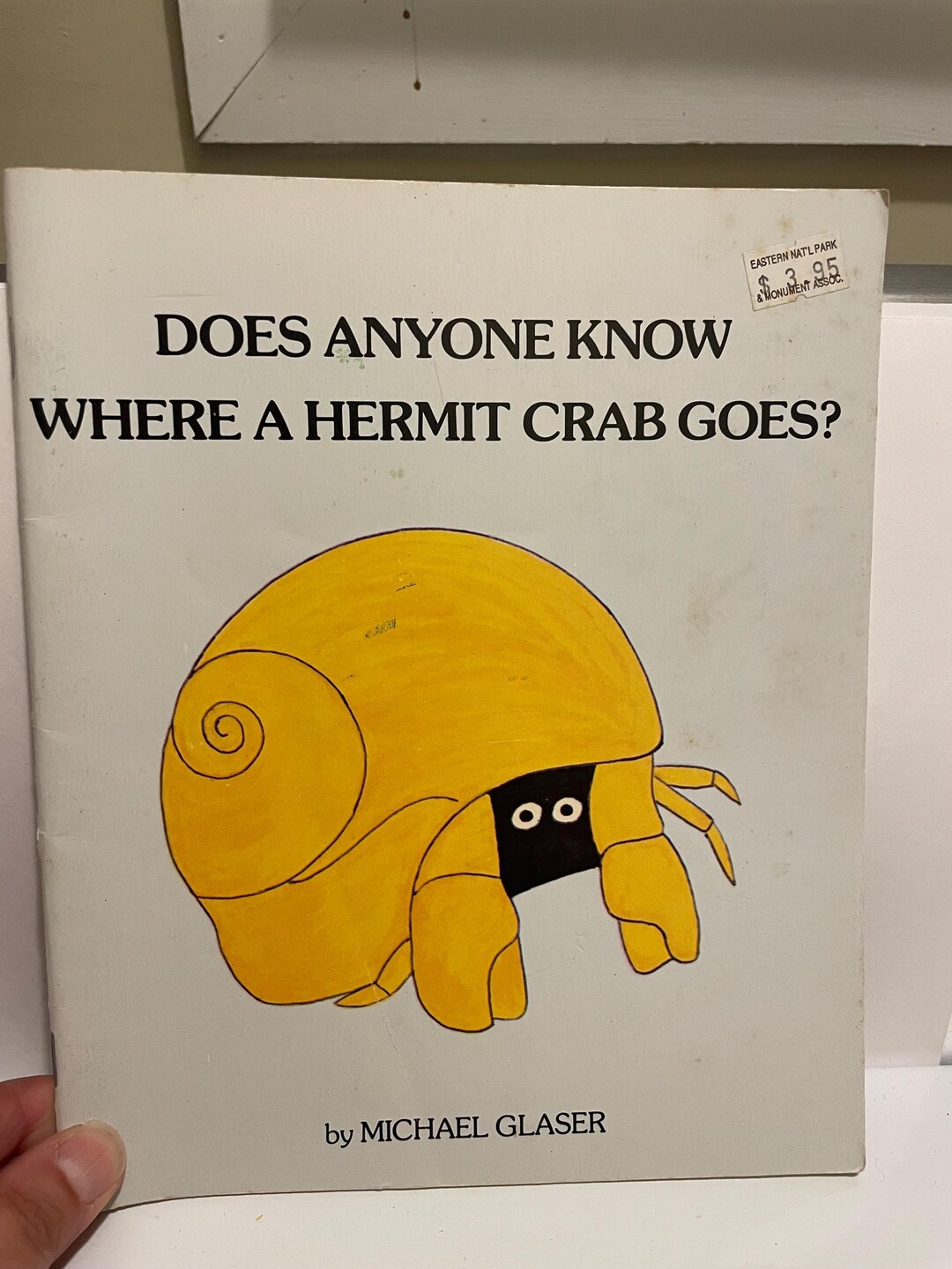 Does Anyone Know Where a Hermit Crab Goes Childrens Book - Etsy