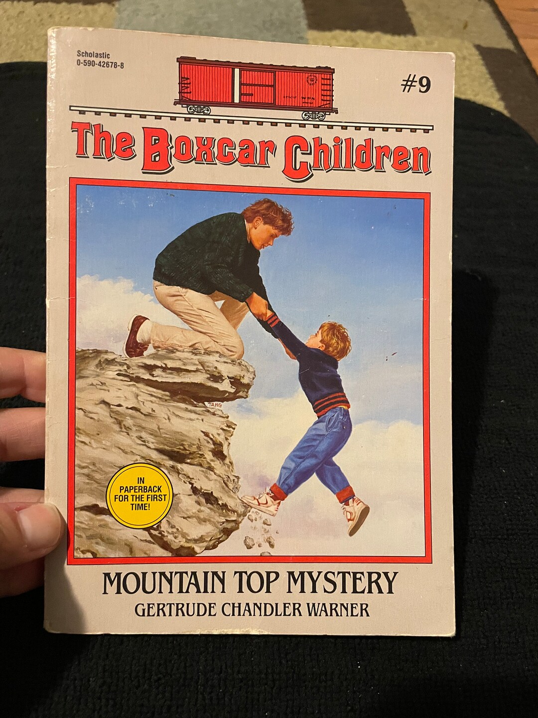 Vintage Boxcar Children 9 Mountain Top Mystery Book - Etsy