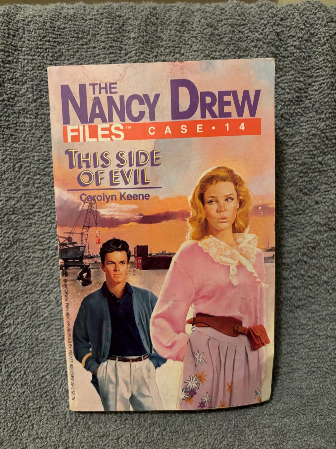 Vintage 1987 the Nancy Drew Files Case #14 This Side of Evil Young ...