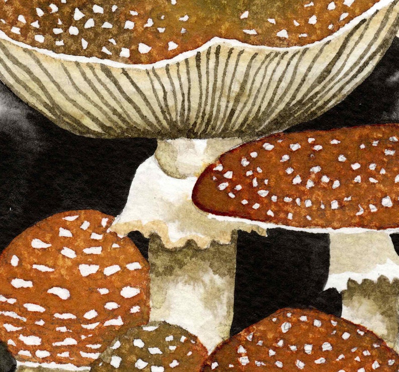 Amanita Muscaria Art Print Nature Print Mushroom Etsy