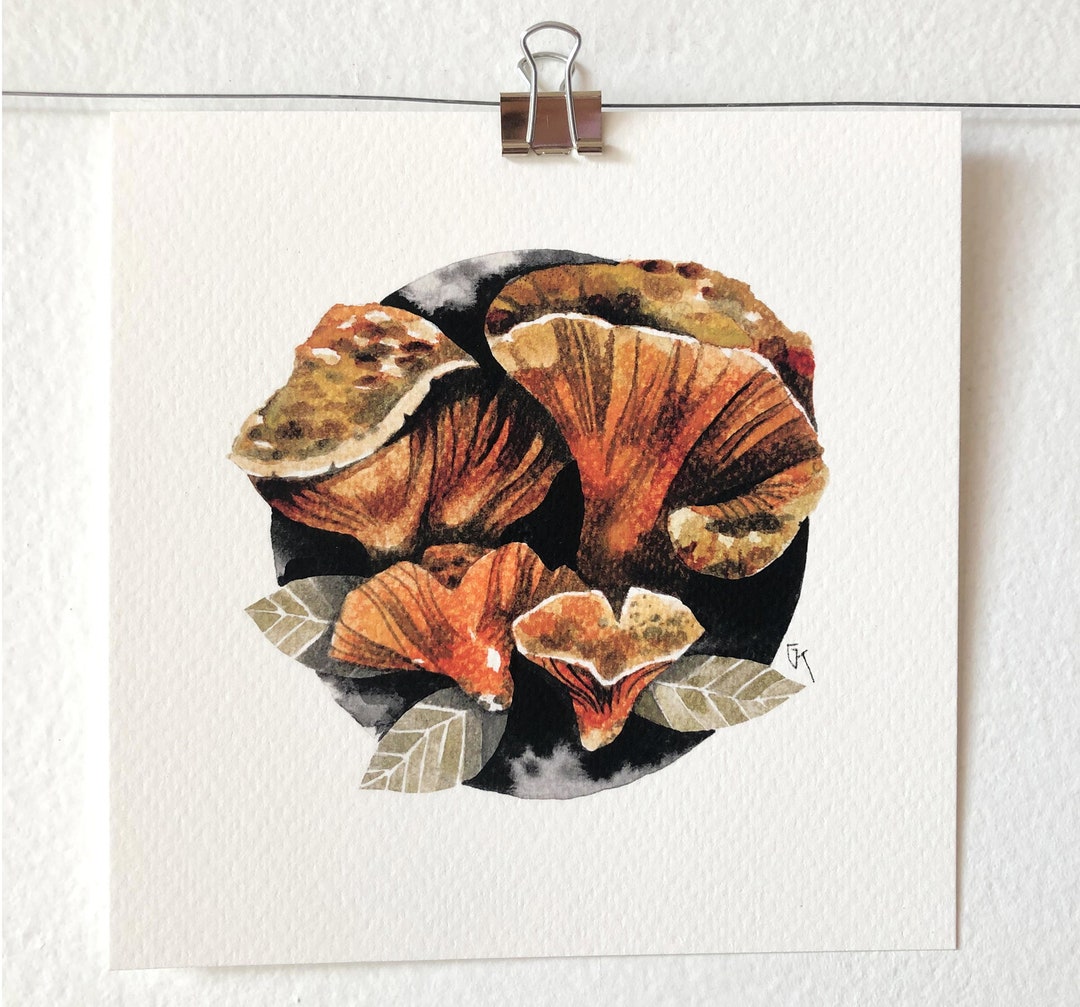 HYPOMYCES LACTIFLUORUM - Art Print, Nature Print, Mushroom Illustration ...