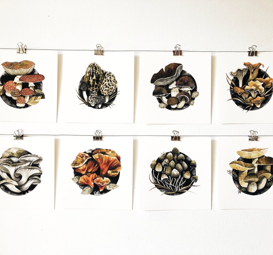 MUSHROOM PACK 9" X 9", Art Set, Art Print, Mushroom Illustration ...