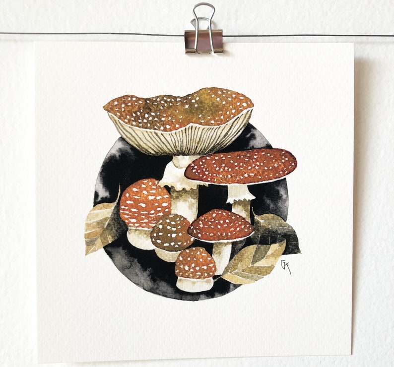 Amanita Muscaria Art Print Nature Print Mushroom Etsy