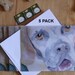 Puggle Watercolor Art Dog Note Card, Set of 5 Blank Greeting Cards - Etsy