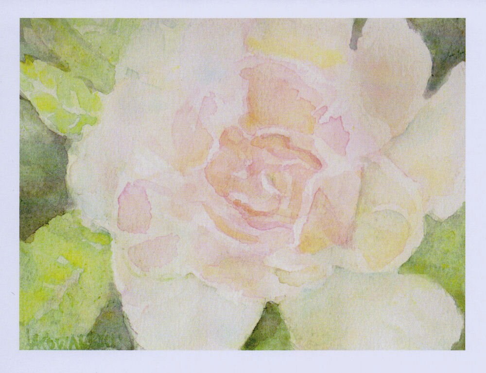 White Rose Note Card Blank Watercolor Flower Invitation Thank You ...