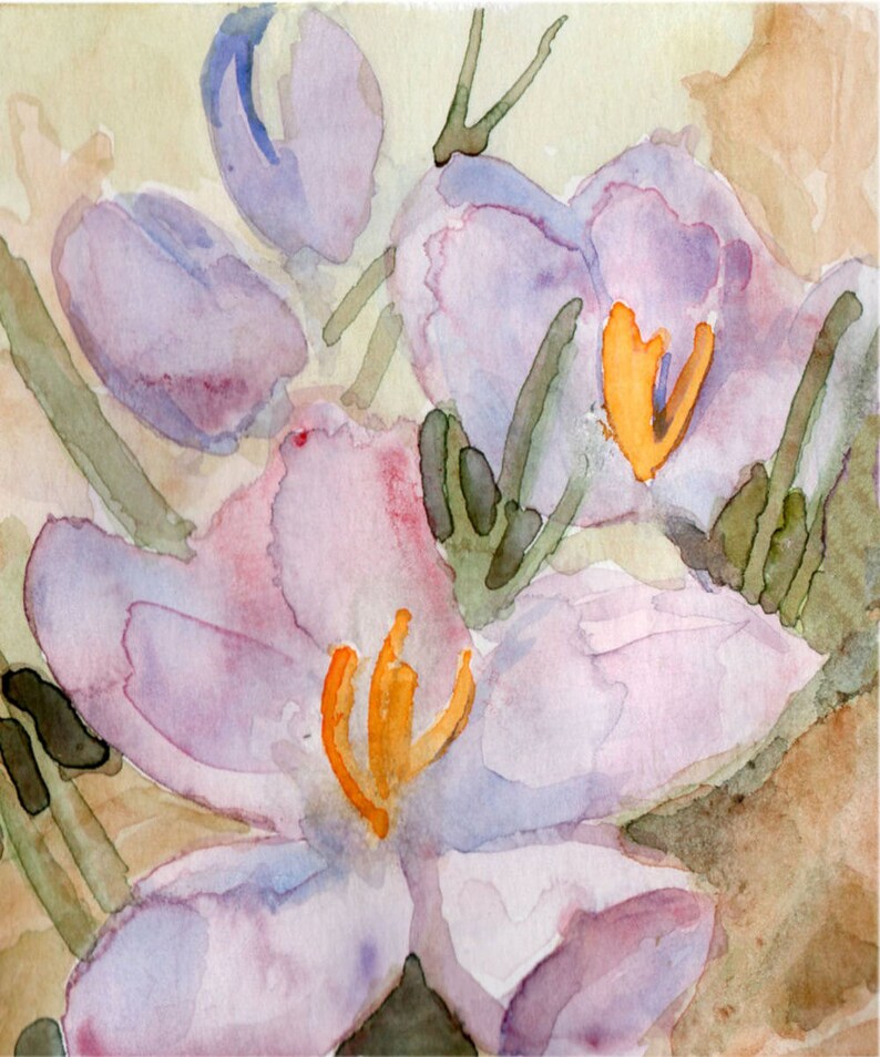 Crocus Picture Spring Flowers Watercolor Print Purple Crocuses ...