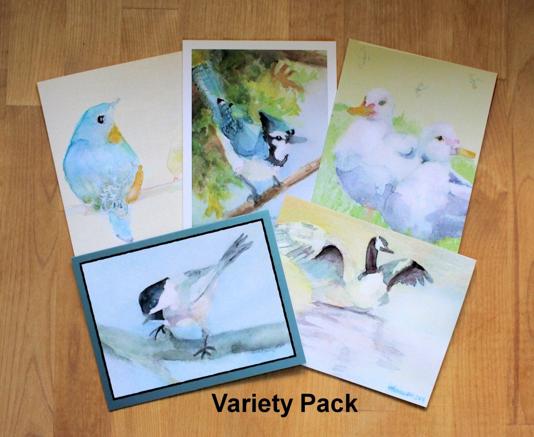 Bird Note Cards Assortment Artistic Watercolor Card Set Includes ...