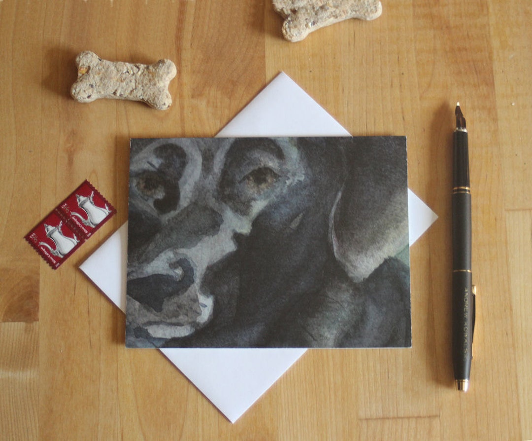 Cute Labrador Retriever Card Water Dog Lover Pet Parent Greeting Cards ...