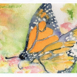 Watercolor Butterfly Note Cards Variety Pack All Occasion Card Set ...