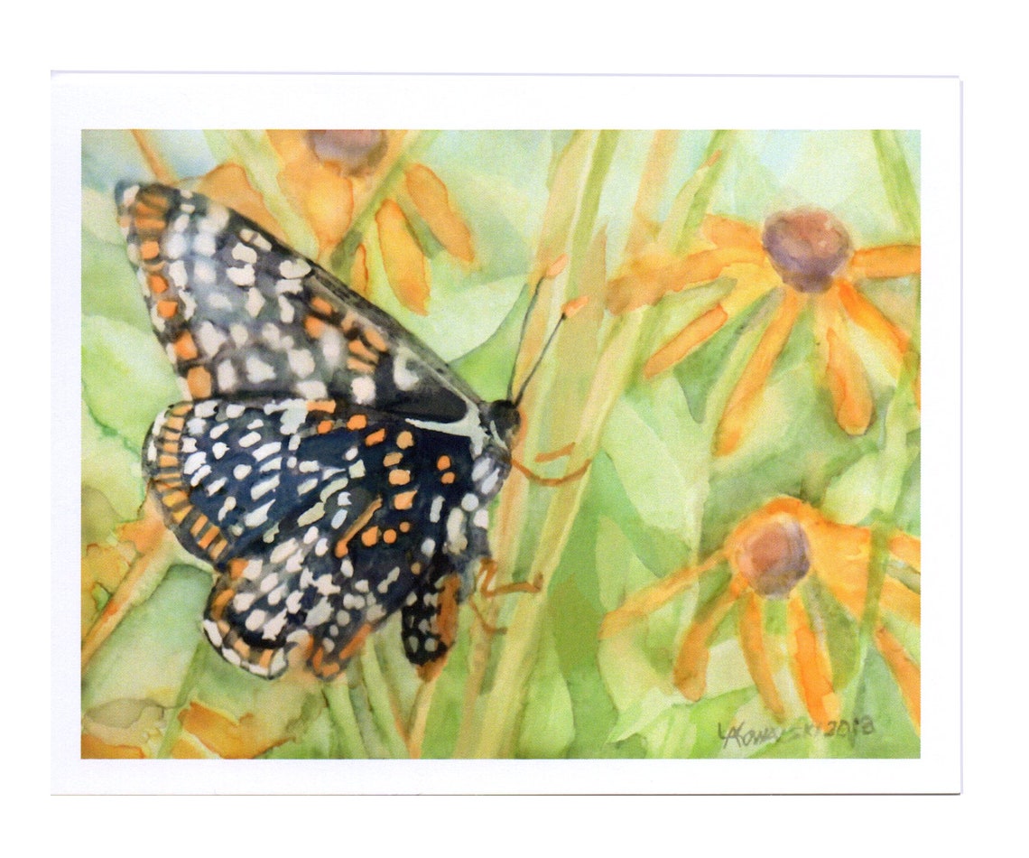 Watercolor Butterfly Note Cards Variety Pack All Occasion Card Set ...