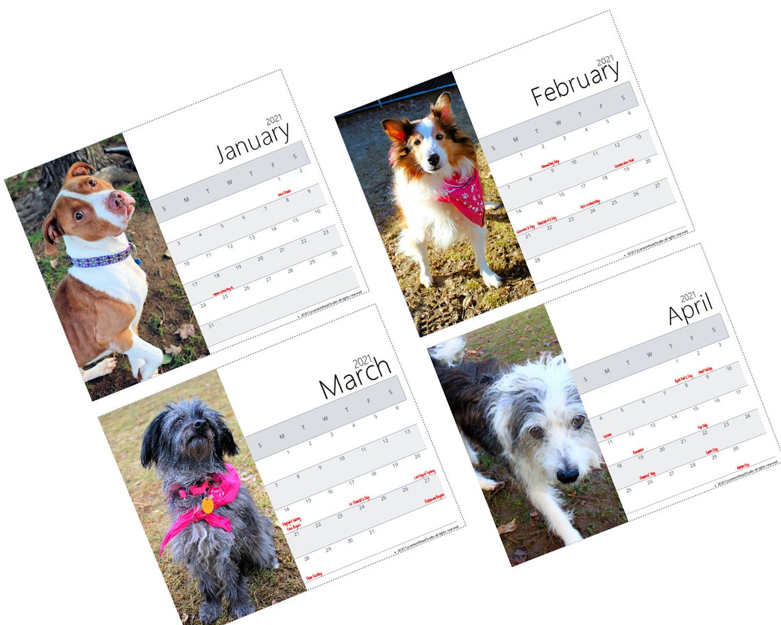 2021 CALENDAR PRINTABLE Dogs Puppy Dog Photo Calendars Wall or | Etsy