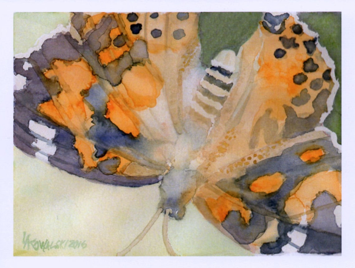 Watercolor Butterfly Note Cards Variety Pack All Occasion Card Set ...