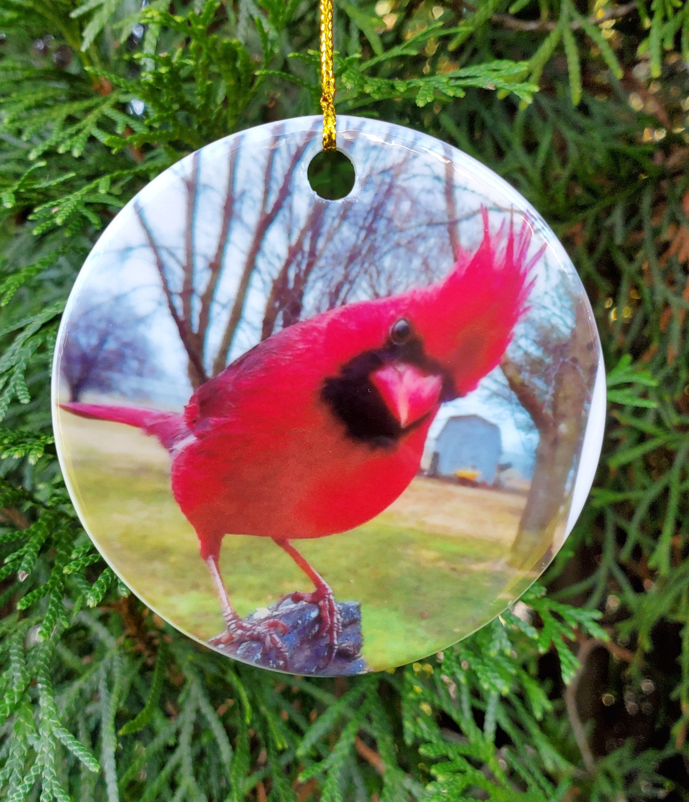 Personalized Christmas Cardinal Ornament / Bird Lovers Ornament / Red ...