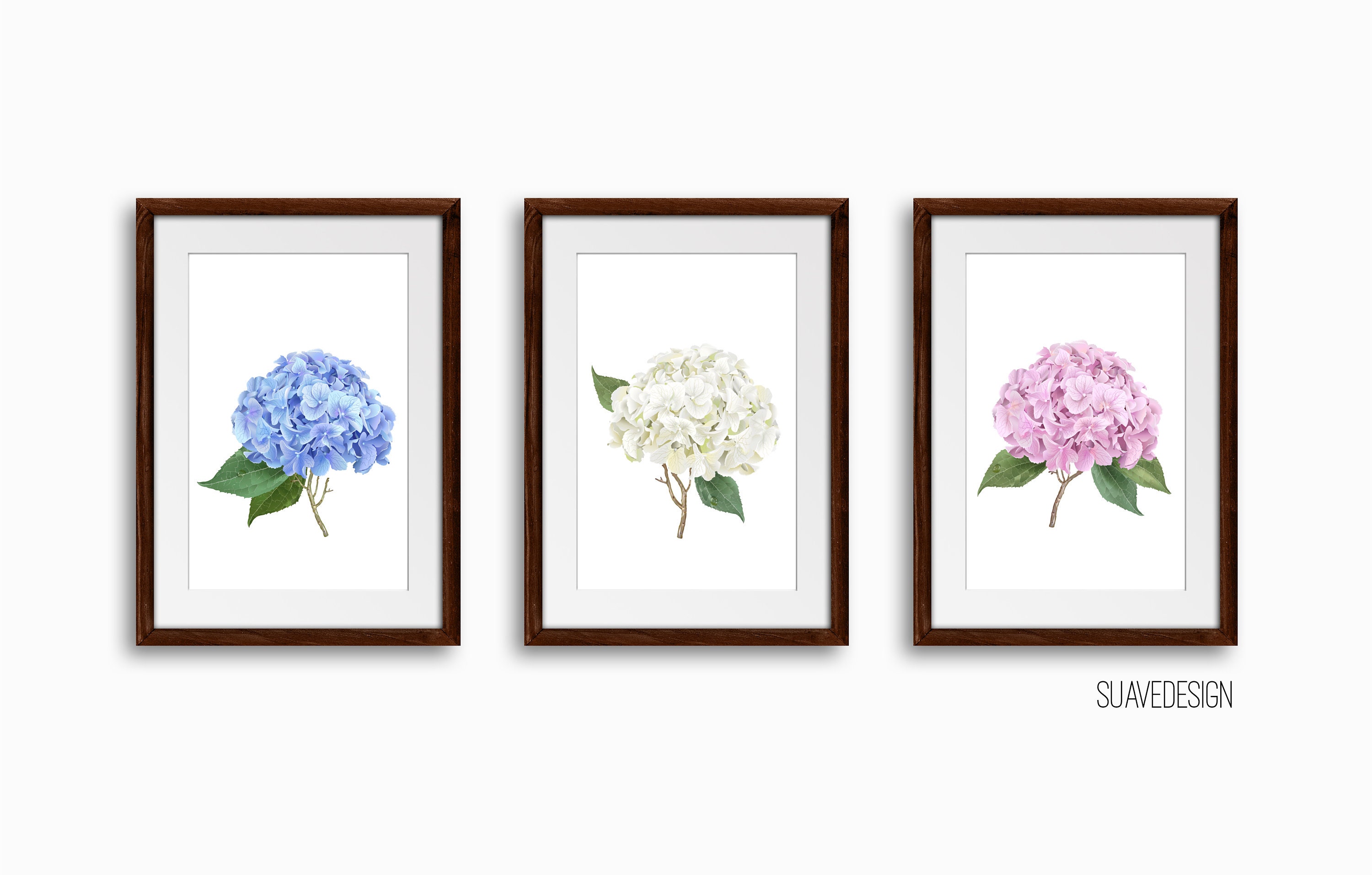 Hydrangea Art Prints Set of 3x Botanical Watercolor Unframed | Etsy
