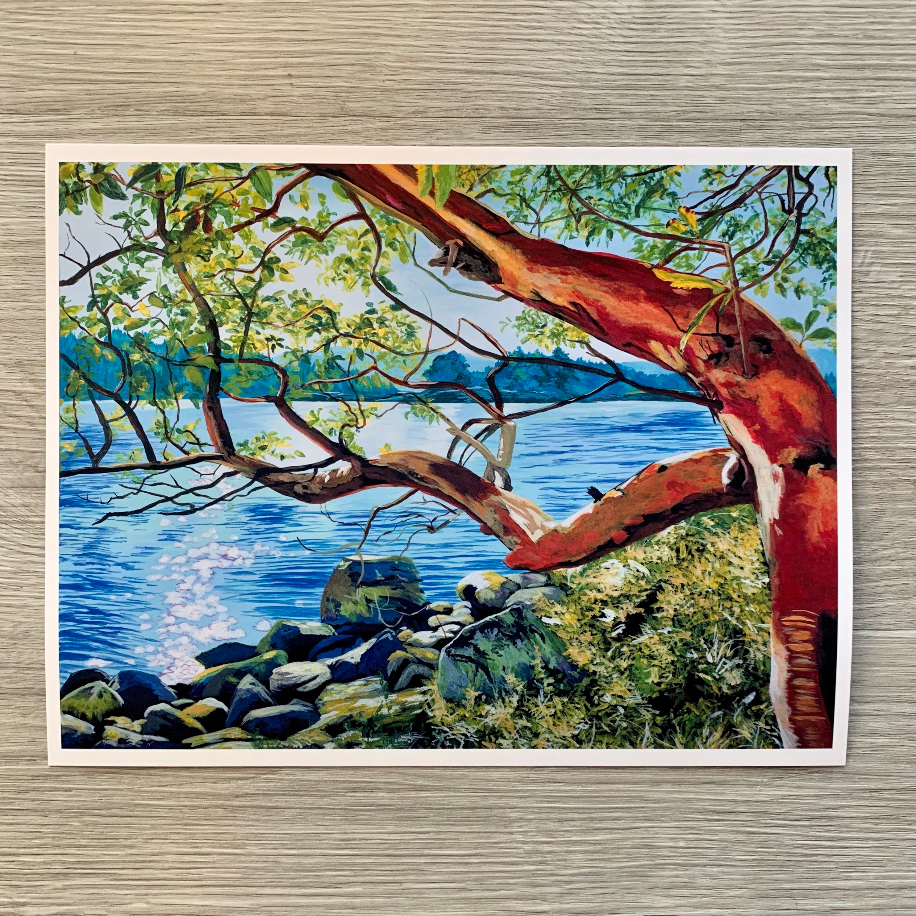 Seascape Print, 8" X 11" Ocean Print, Shoreline Print, Arbutus Tree ...