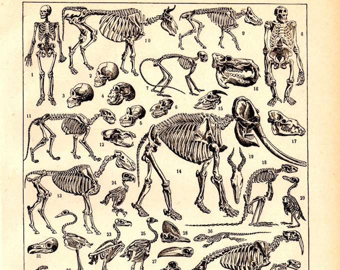 This item is unavailable | Etsy