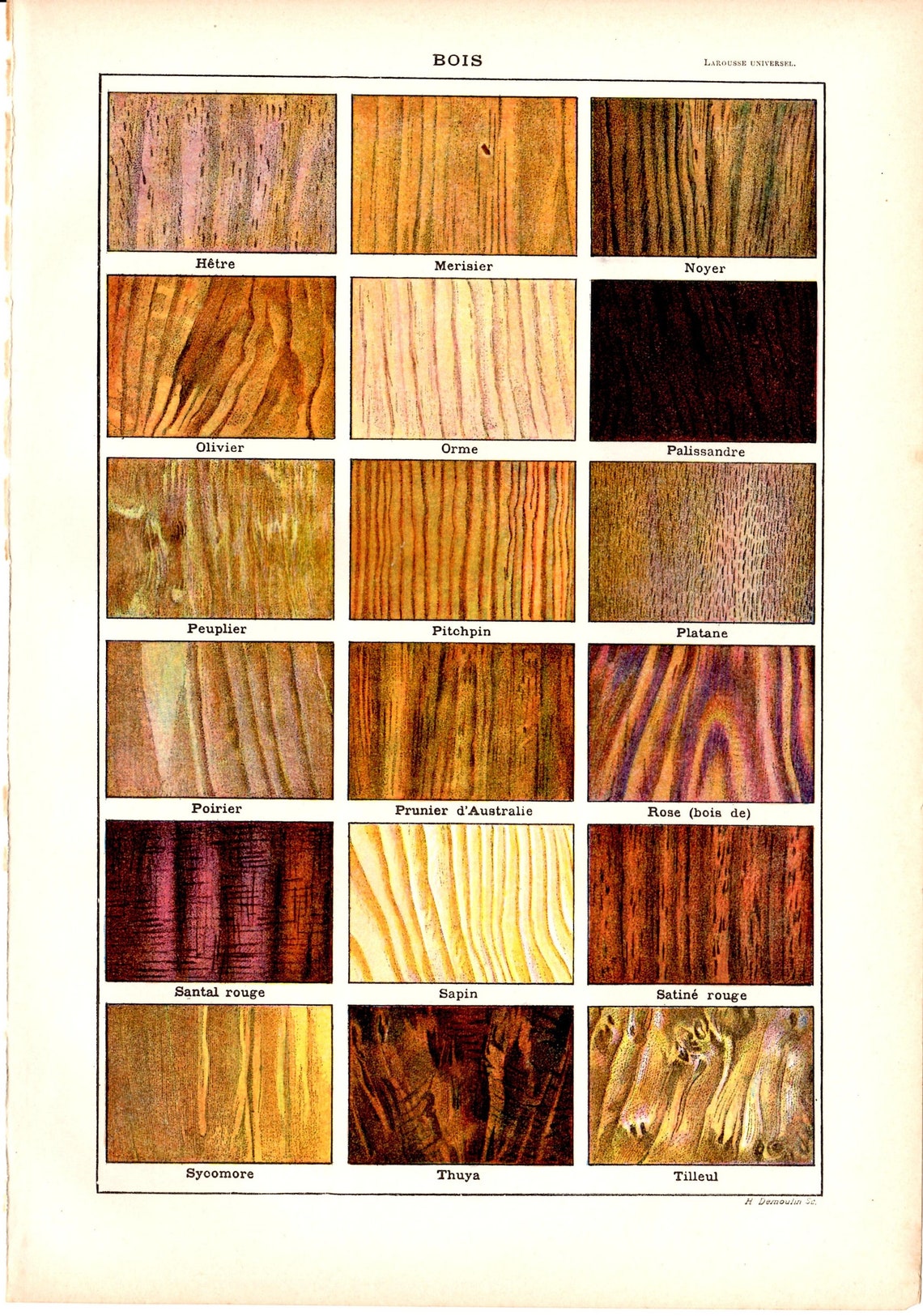 Original Types of Wood Timber Bois Grain French Lithograph - Etsy