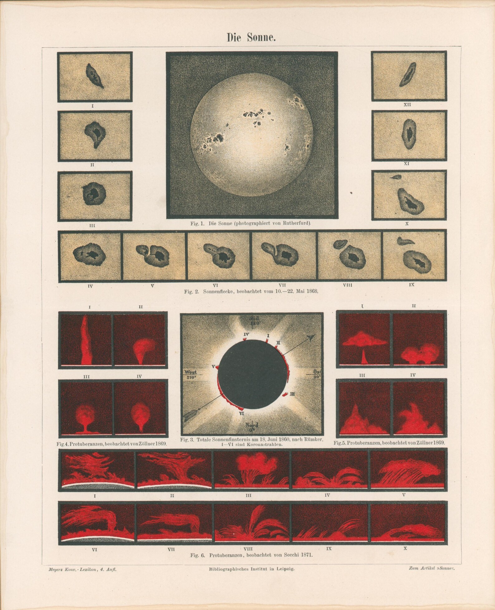 Antique 1900sthe Sun Solar Flares German Chromolithograph Lithograph ...
