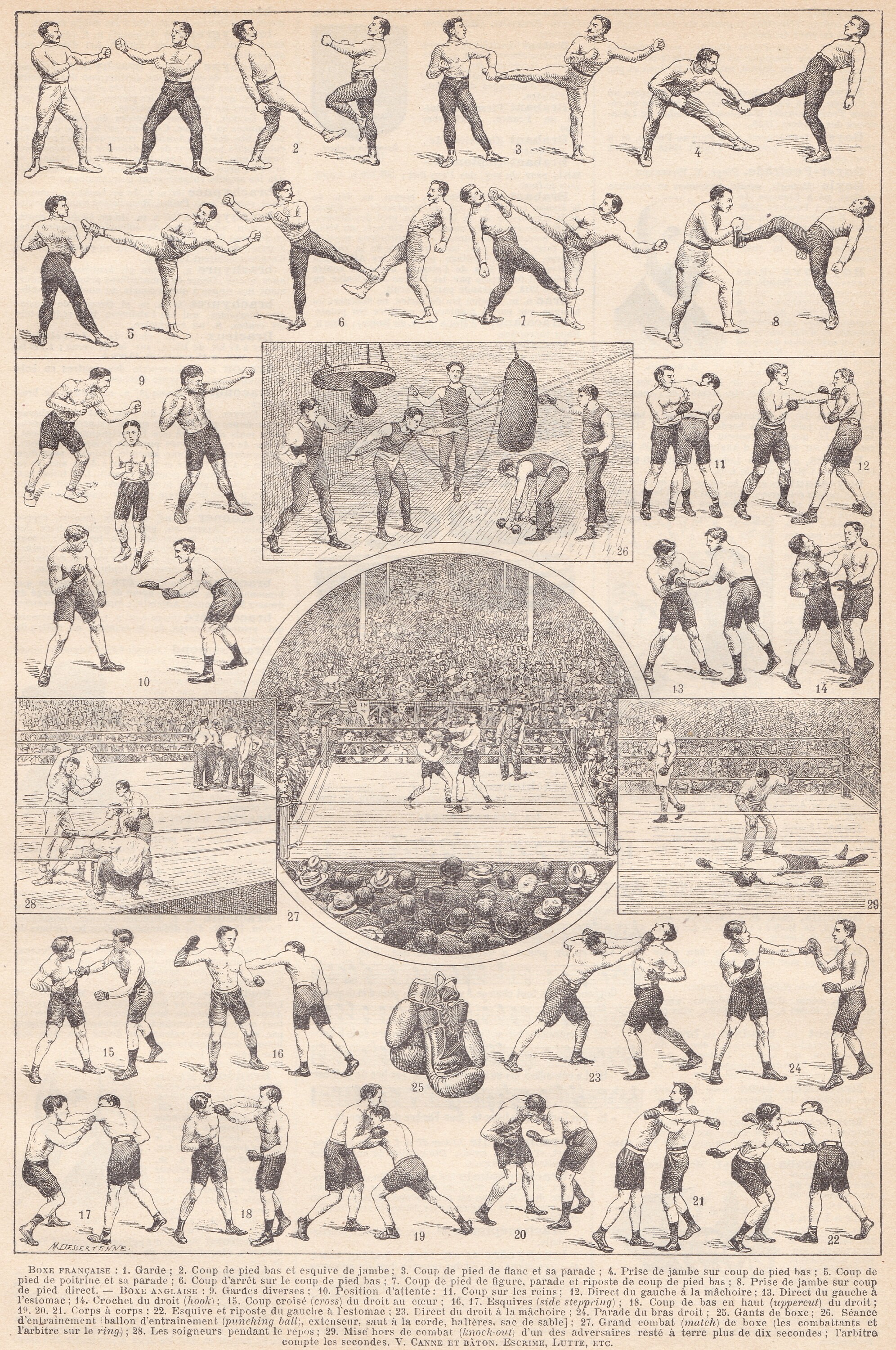 Vintage Original French Boxing Sports Lithograph Larousse Illustré ...