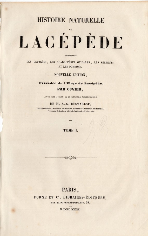 Prints 1839 Rare Antique Gecko Green Horned Spikey Lizard Reptile ...