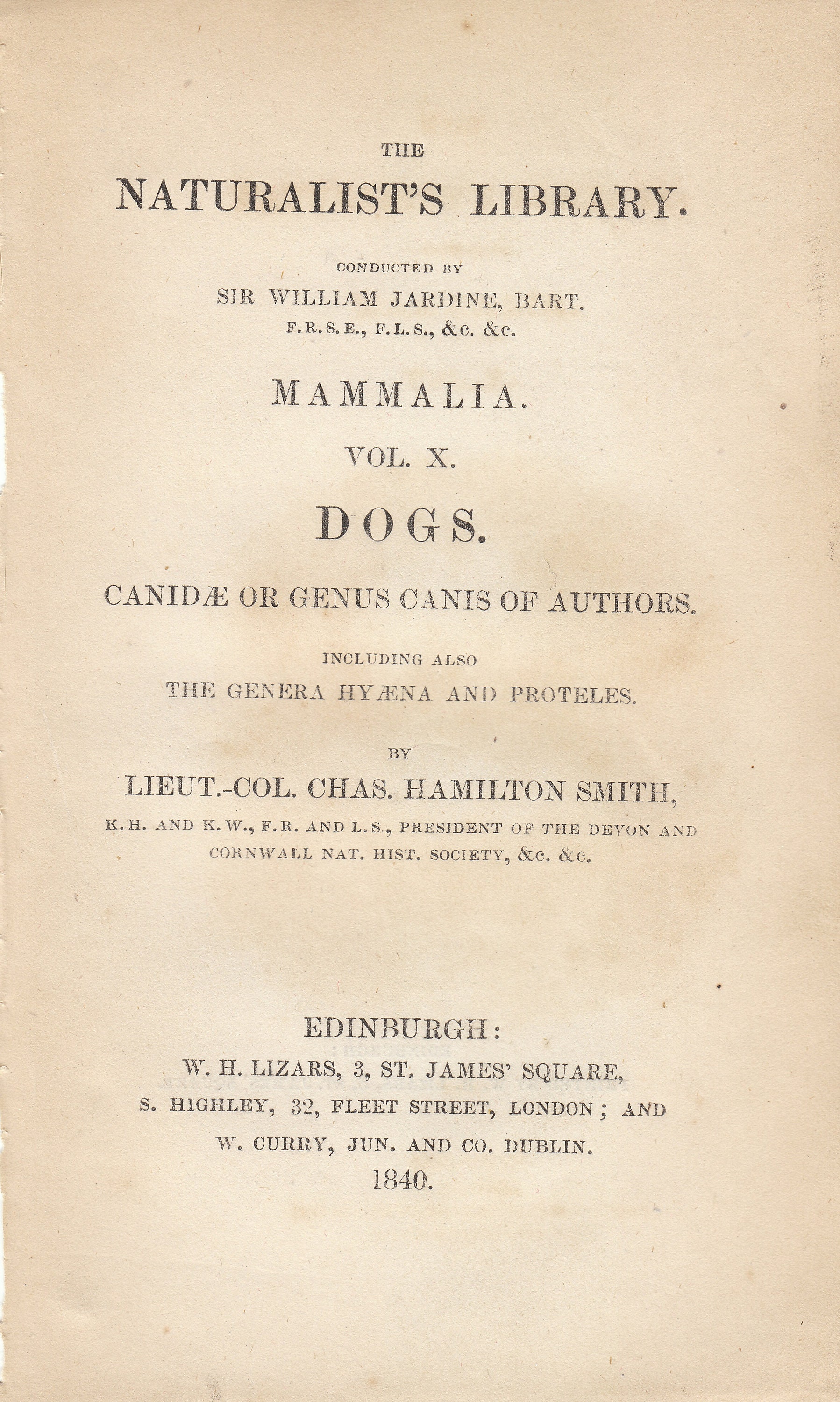 Rare Antique Original Shepherds Sheep Dog 1840 Jardine Mammalia ...