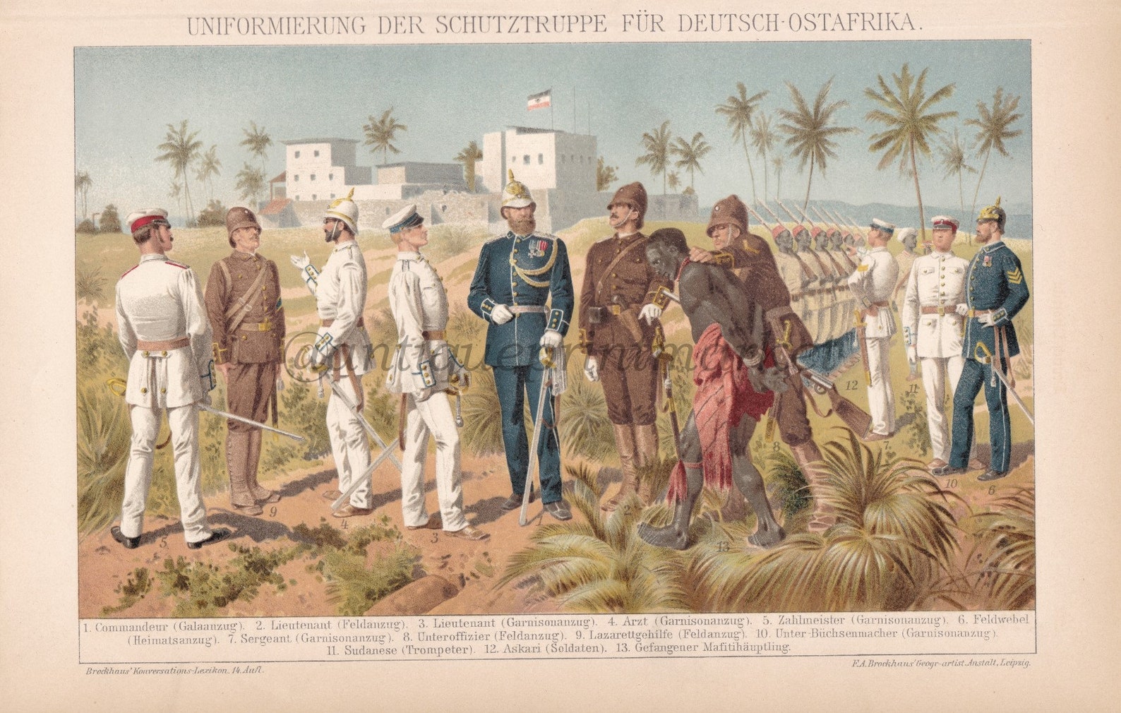 Antique 1892 Colonial Uniforms Slavery German Lithograph Print ...