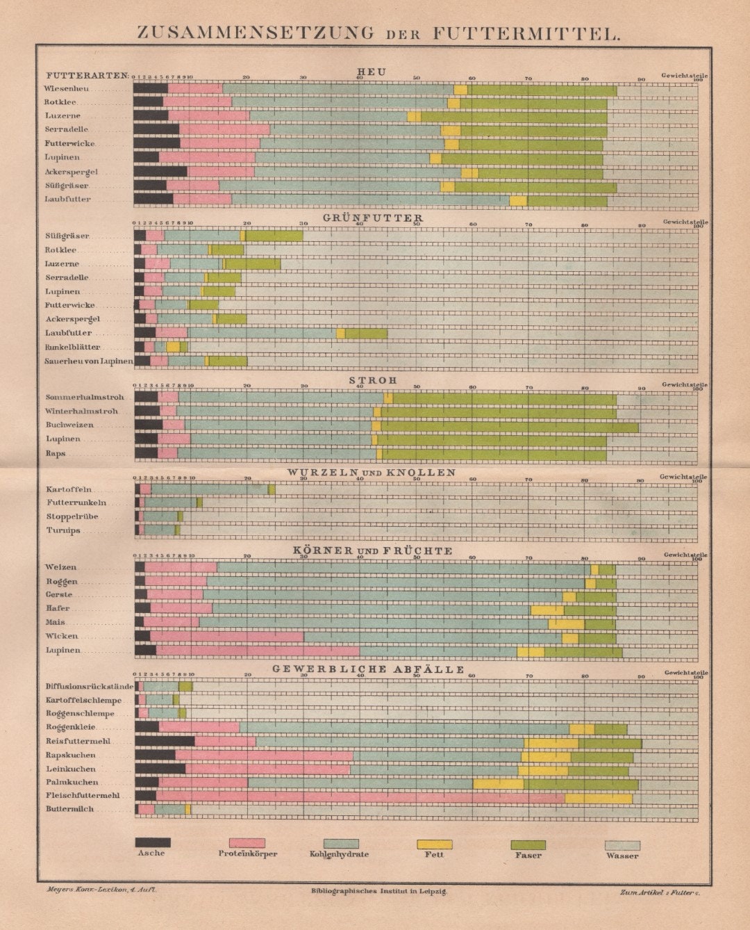 Antique 1900s Composition of Food Chart Nutrition Cooking Diet - Etsy