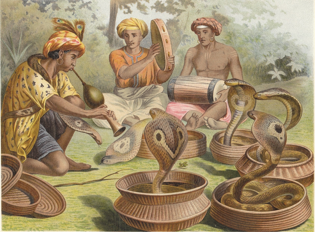 19th Century Indian Snake Charming Antique Serpant Cobra Print ...