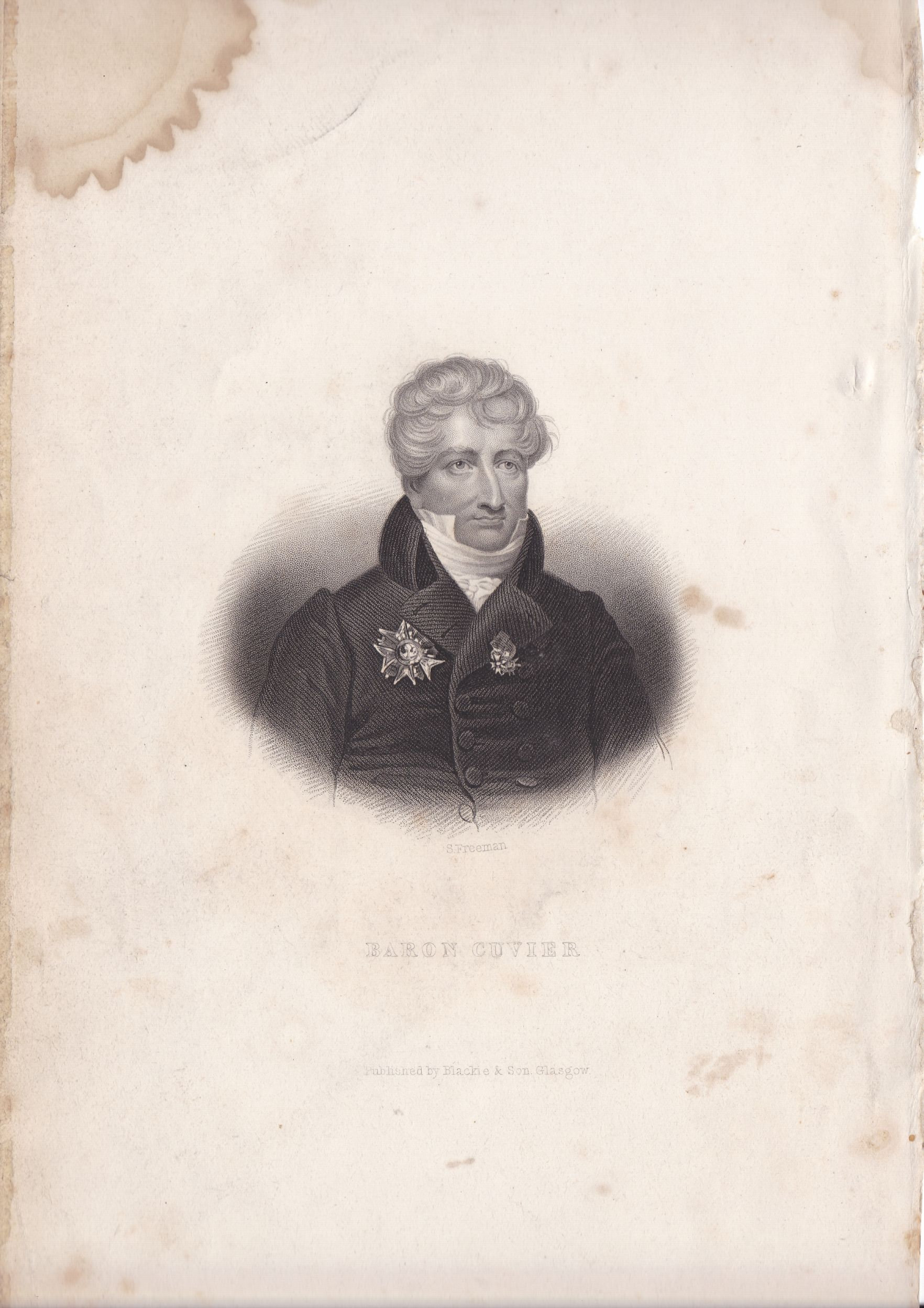 1857 Rare Antique Wolf Dog Species Original Print A History of Earth ...