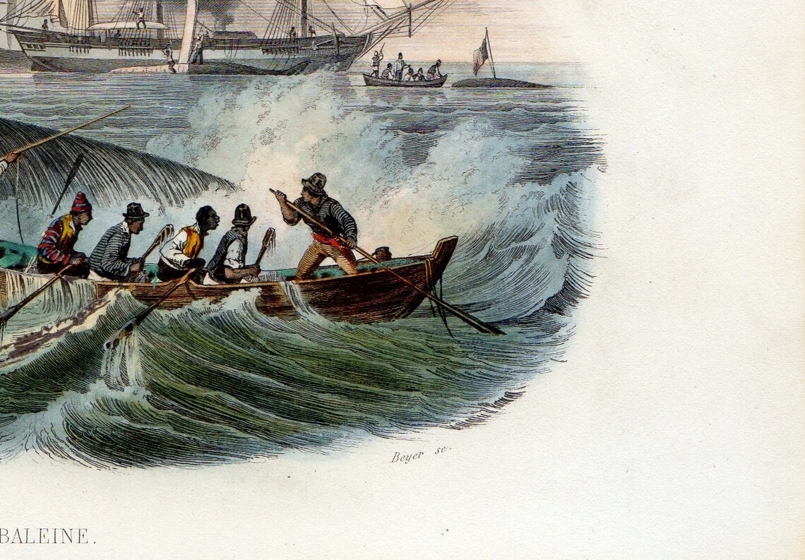 1850 Whaling Print by French Artist Edouard TRAVIES Sea Life Fish Ocean ...
