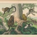 1889 Large Format Antique Monkeys Howler Monkey Jungle Apes Primates ...