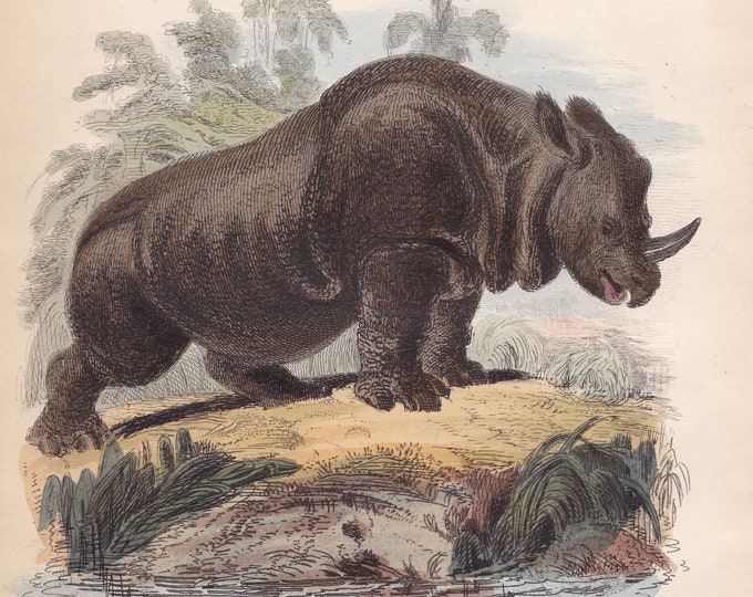 This item is unavailable - Etsy