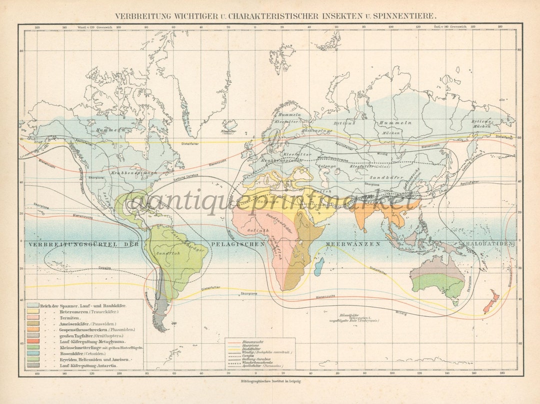 Antique 1892 Map of Insect Distribution Flight Paths German ...