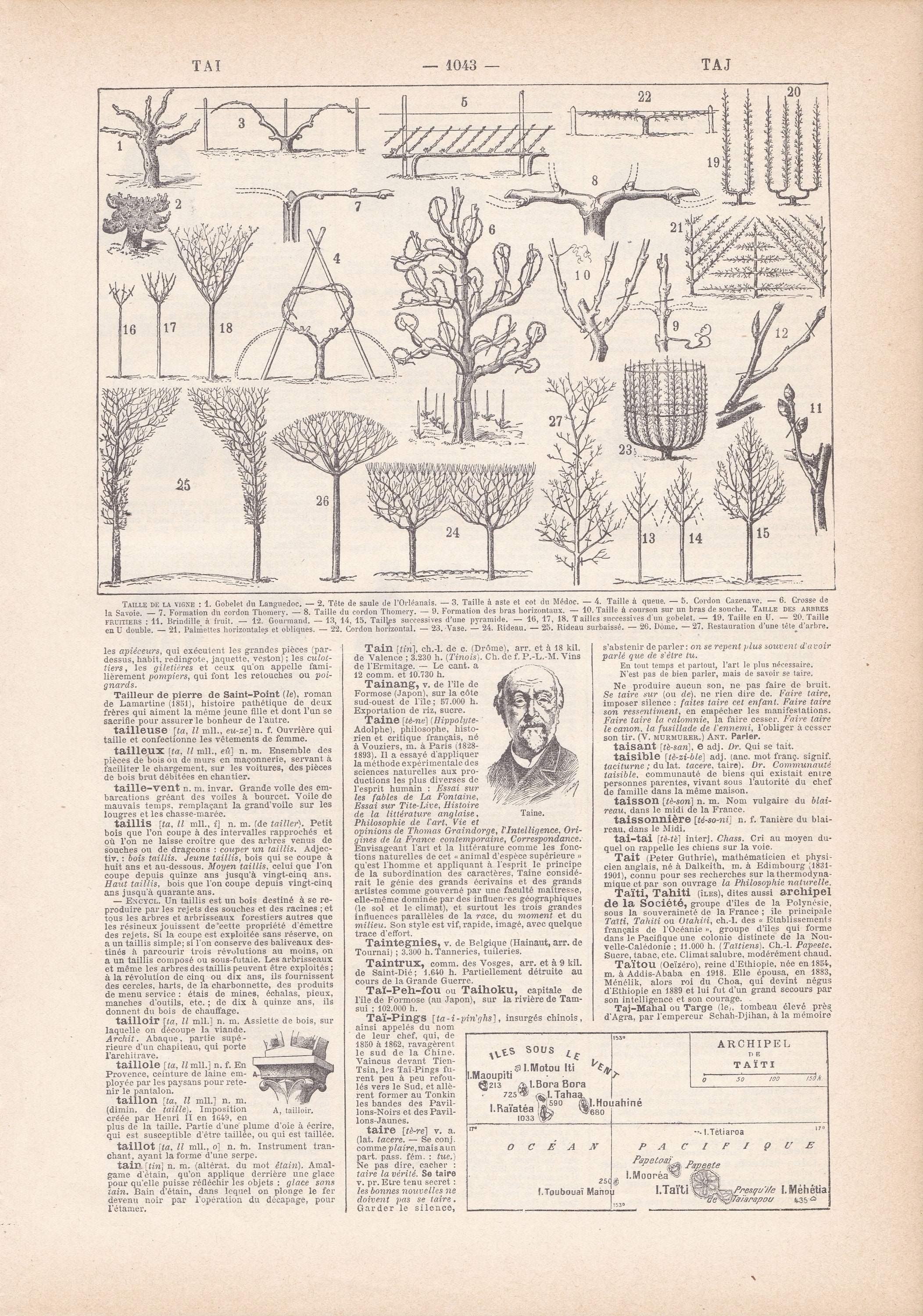 Vintage Original French Tree Training Orchard Fruit Cider Lithograph ...