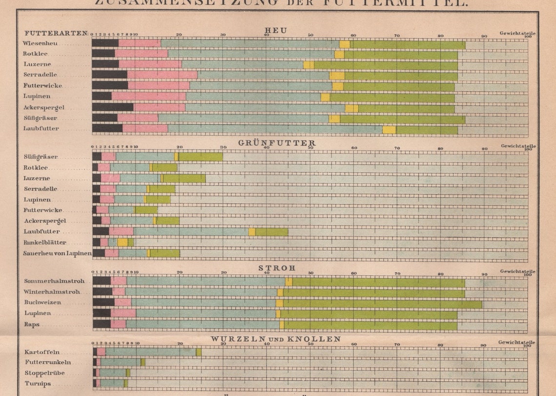Antique 1900s Composition of Food Chart Nutrition Cooking Diet - Etsy