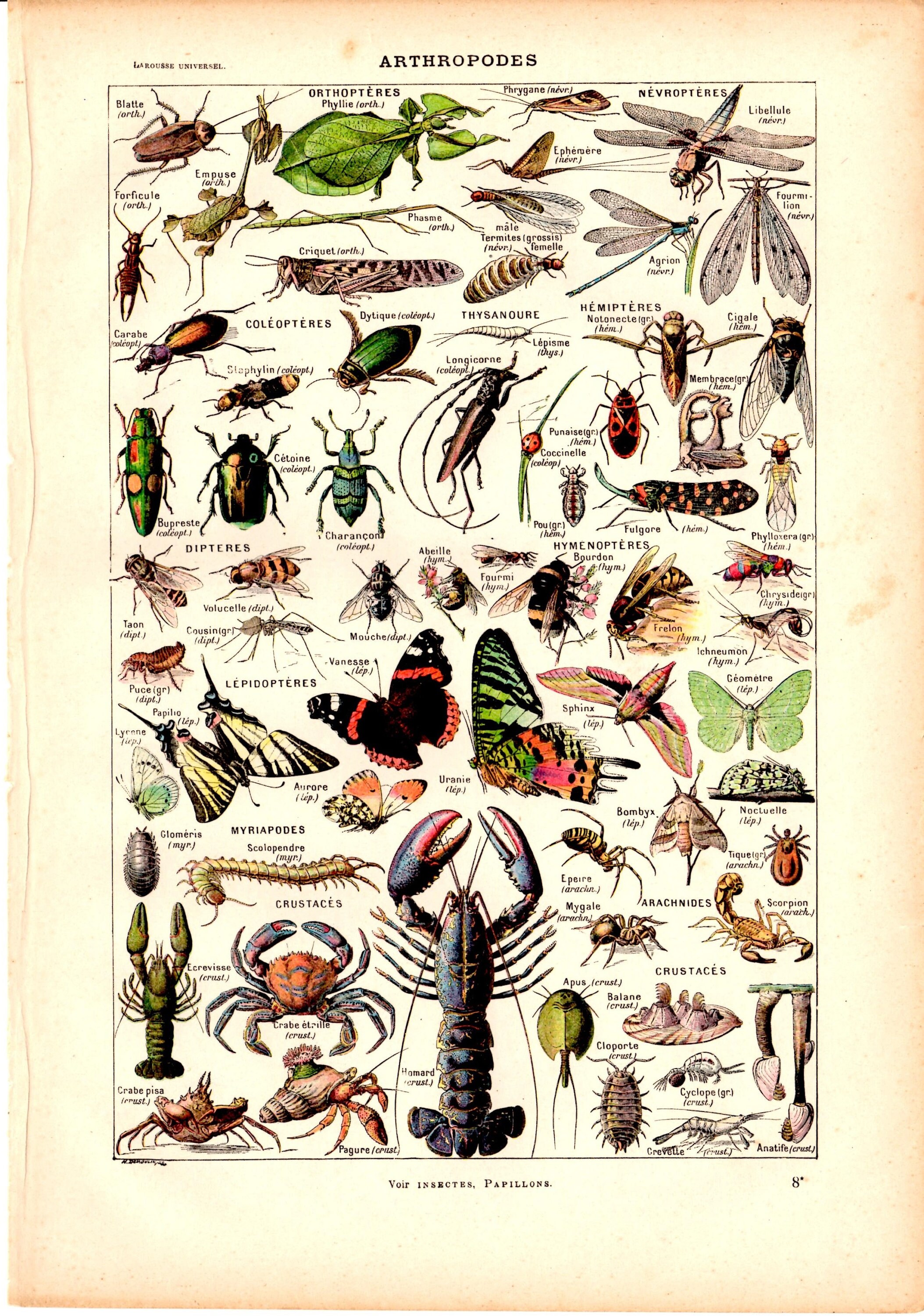 1910 Antique Original French LAROUSSE Nouveau Larousse Illustré Paris ...