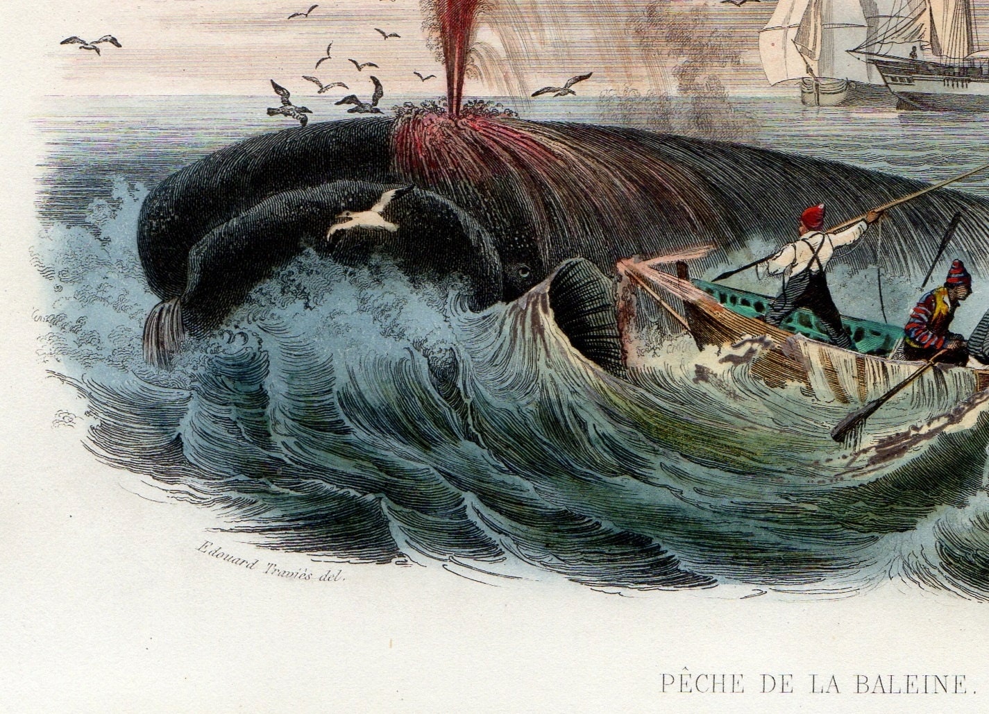 1850 Whaling Print by French Artist Edouard TRAVIES Sea Life Fish Ocean ...